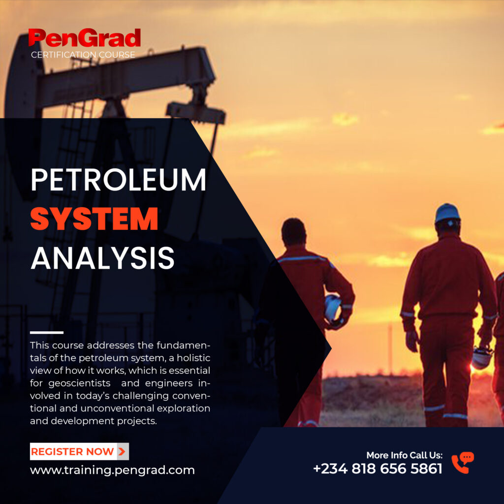 Petroleum System Analysis